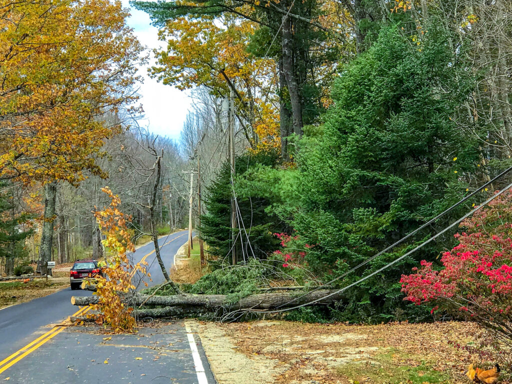 Emergency Restoration | Safety | Restore Powerlines